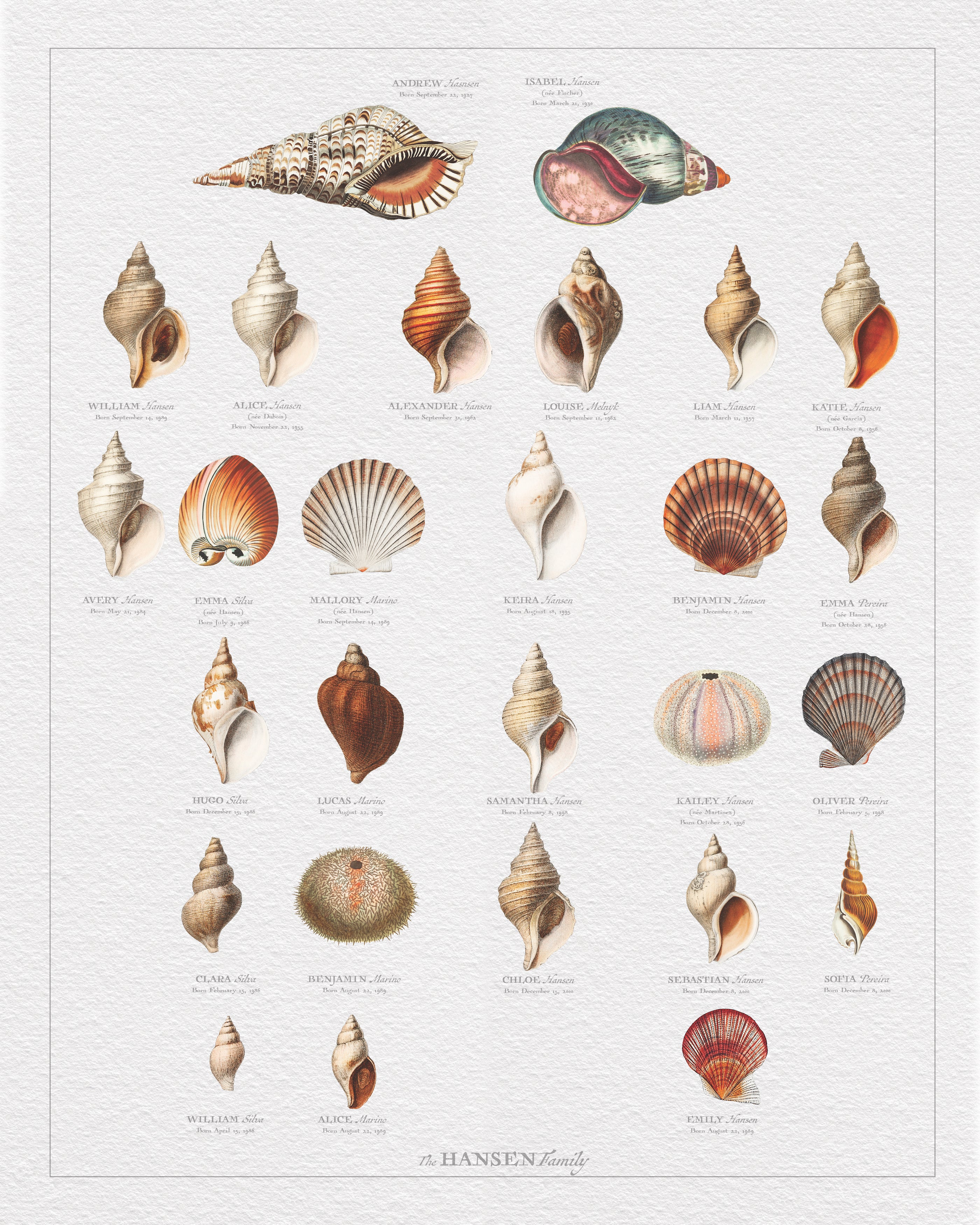 Vintage Shells Family Botanic-Custom & Framed Family Tree Wall Art