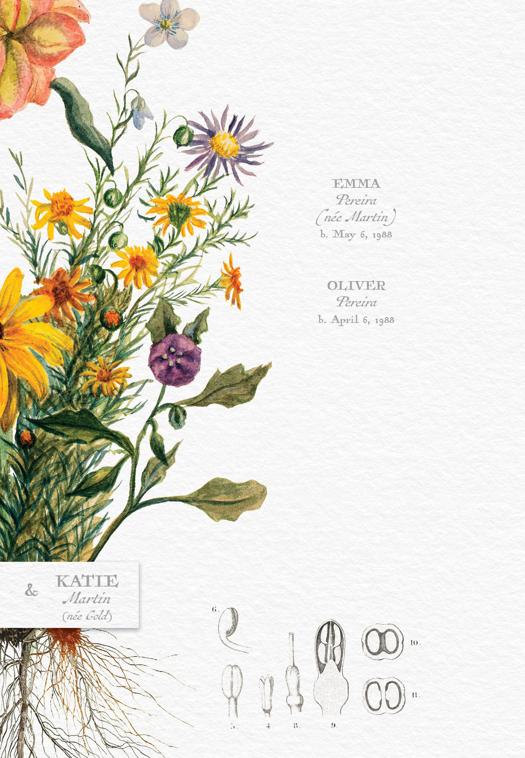 Vintage Wildflower Drawings Retro Flower Shop Window Decal Bottom