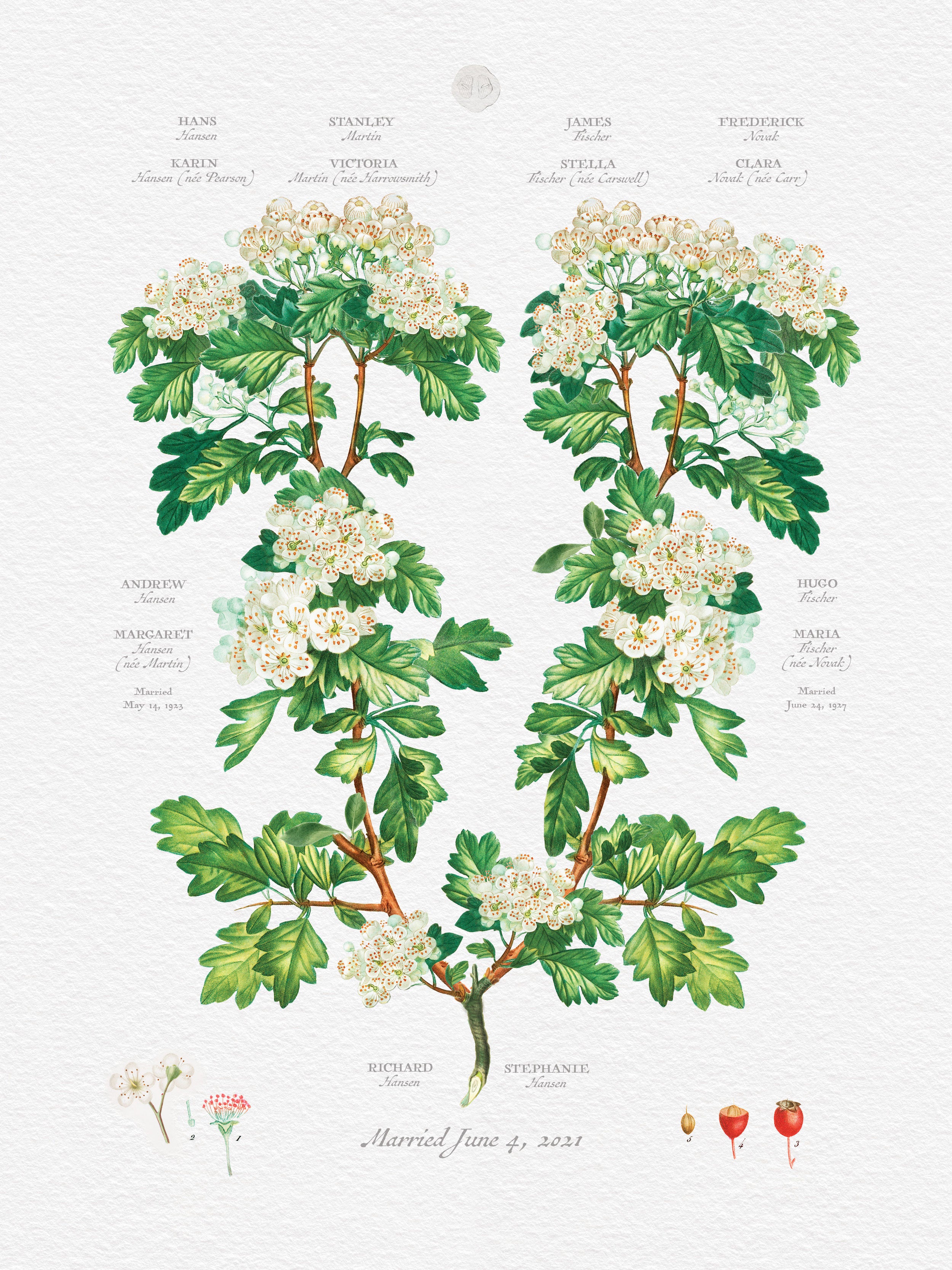 Vintage Hawthorne Family Botanic-Custom & Framed Family Tree