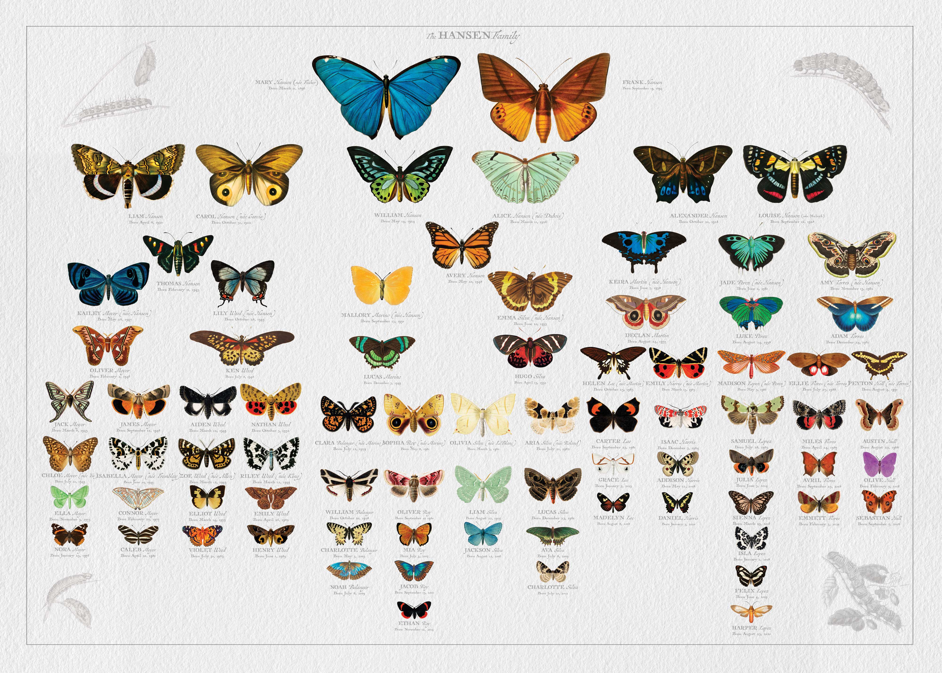 Large Butterflies Family Botanic - Custom & Framed Family Tree