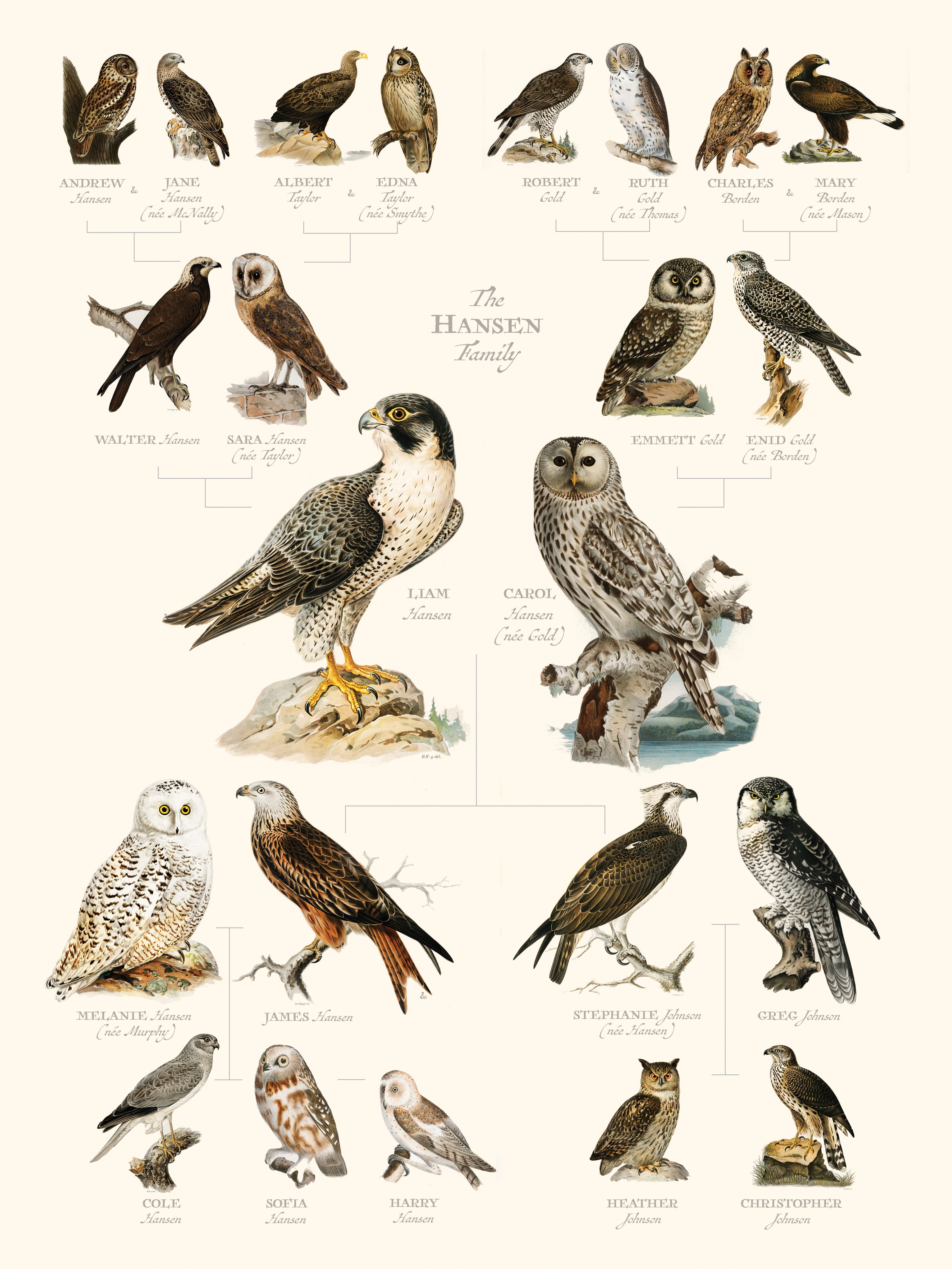 Vintage Owl & Hawks Family Botanic -Custom & Framed Family Tree Wall Art